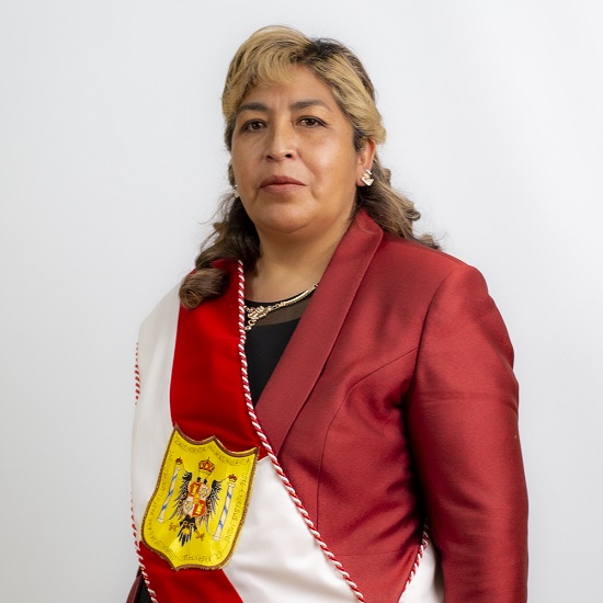 Concejo Municipal – Gobierno Autónomo Municipal de Potosí